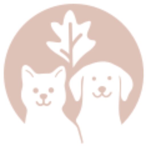 Vets in Guildford | Guildford Vets | Surrey Family Vets